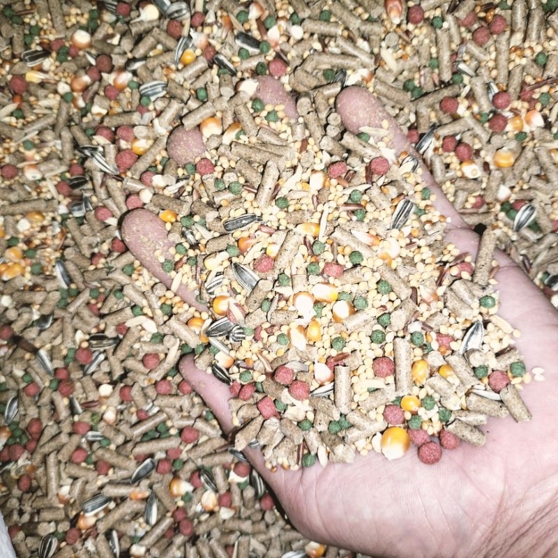 Jual Pakan Hamster Marmut Mix 1kg | Shopee Indonesia