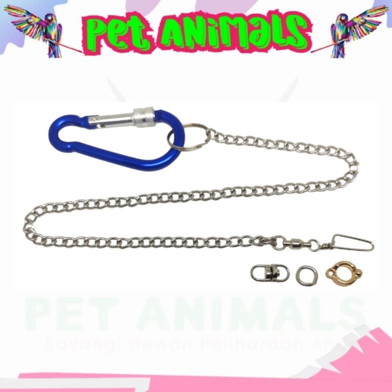 Jual rantai ring borgol burung nuri ambon, paltem/ nuri kepala hitam ...