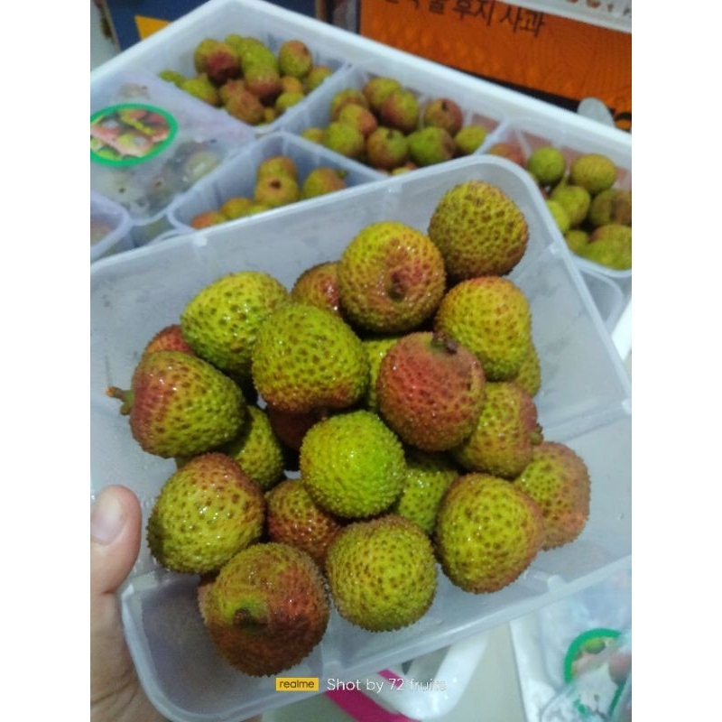 Jual leci madu,ijo,merah | Shopee Indonesia