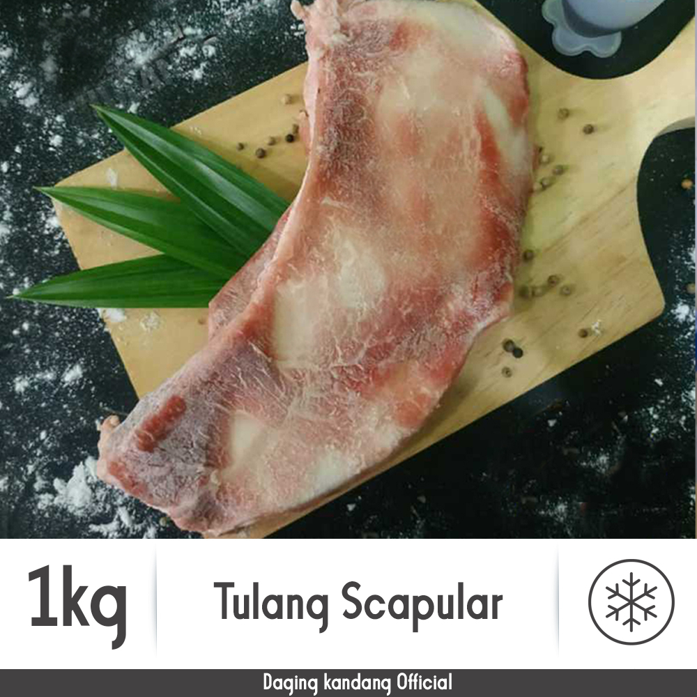 Jual Tulang Scapular | Tulang Muda Sapi | Daging Kandang | Shopee Indonesia