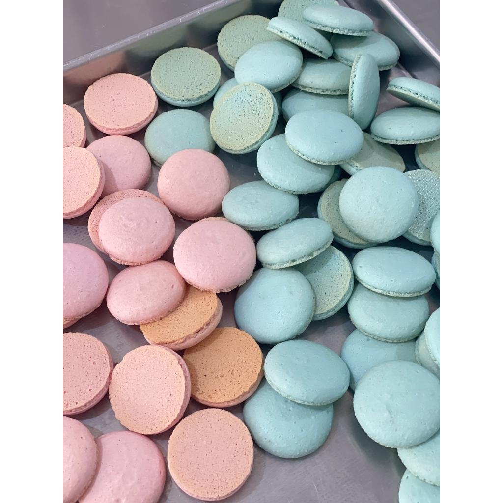 Jual Macaron Shells | Shopee Indonesia