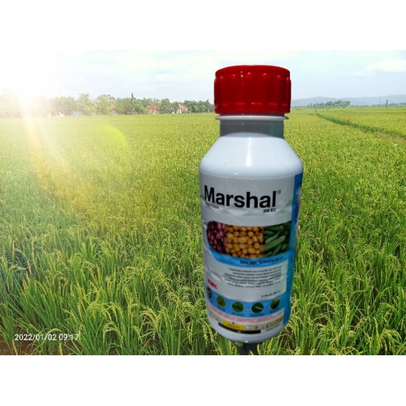 Jual Insektisida & akarisida marshal 200 EC isi kemasan 500 ml | Shopee ...