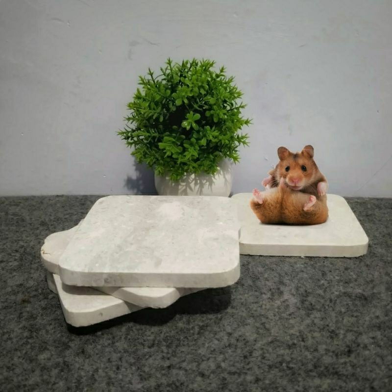 Jual Hamster Cooling Pad Marble / Alas Dingin Hamster 100% Marmer ...