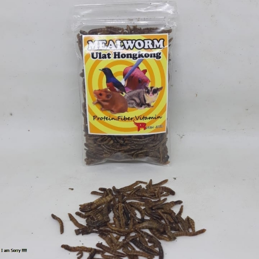 Jual MEALWORM ULAT HONGKONG KERING 15Gram PAKAN HAMSTER SUGAR GLIDER ...