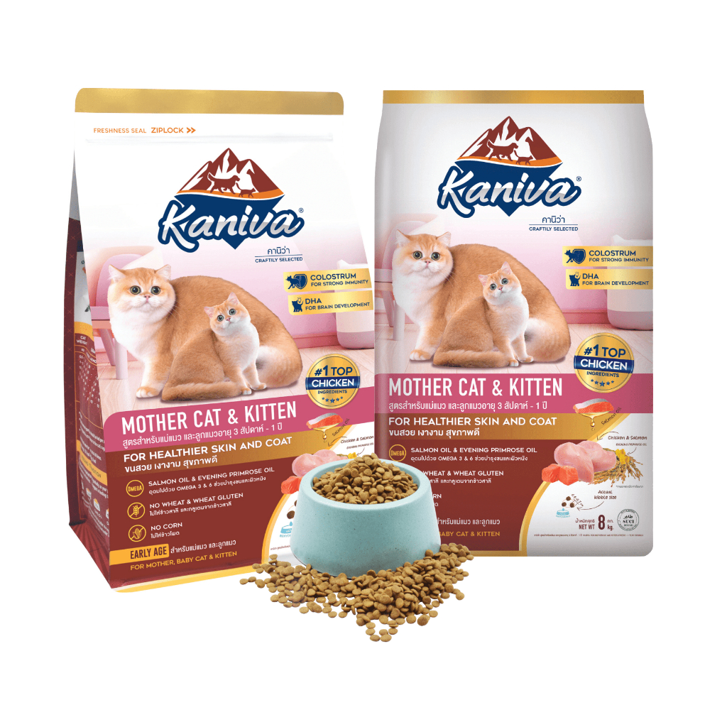 Jual KANIVA Dry Food 370g Mother & Kitten Cat - Makanan Anak Kucing ...