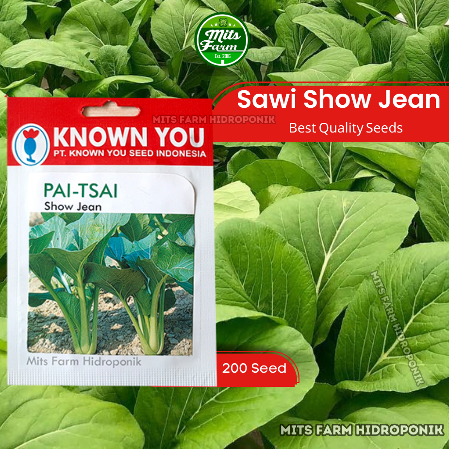 Jual Benih Sawi Manis caisim Show Jean Daun Lebar - Known You Seed ...