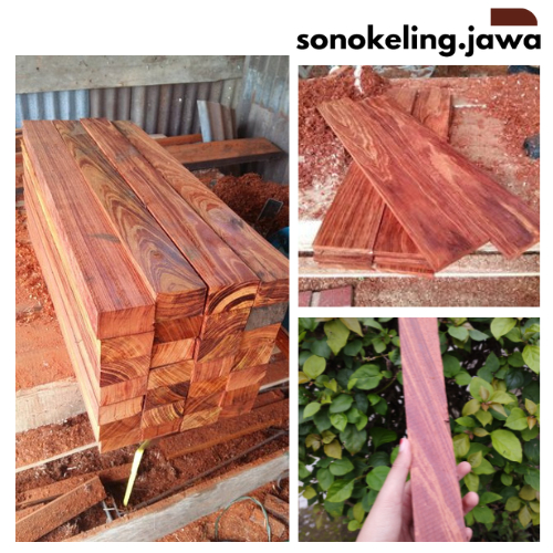 Jual Kayu rengas asli berbagai ukuran, bisa custom ukuran | Shopee ...