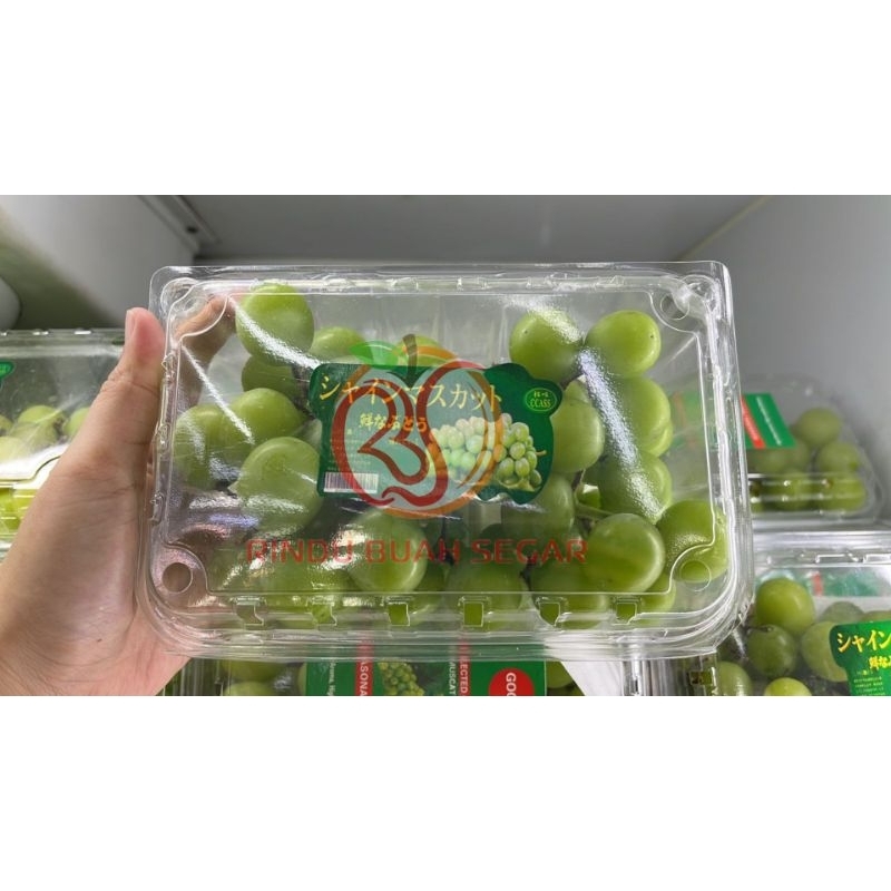 Jual buah anggur shine muscat per pack (500 gr) | Shopee Indonesia