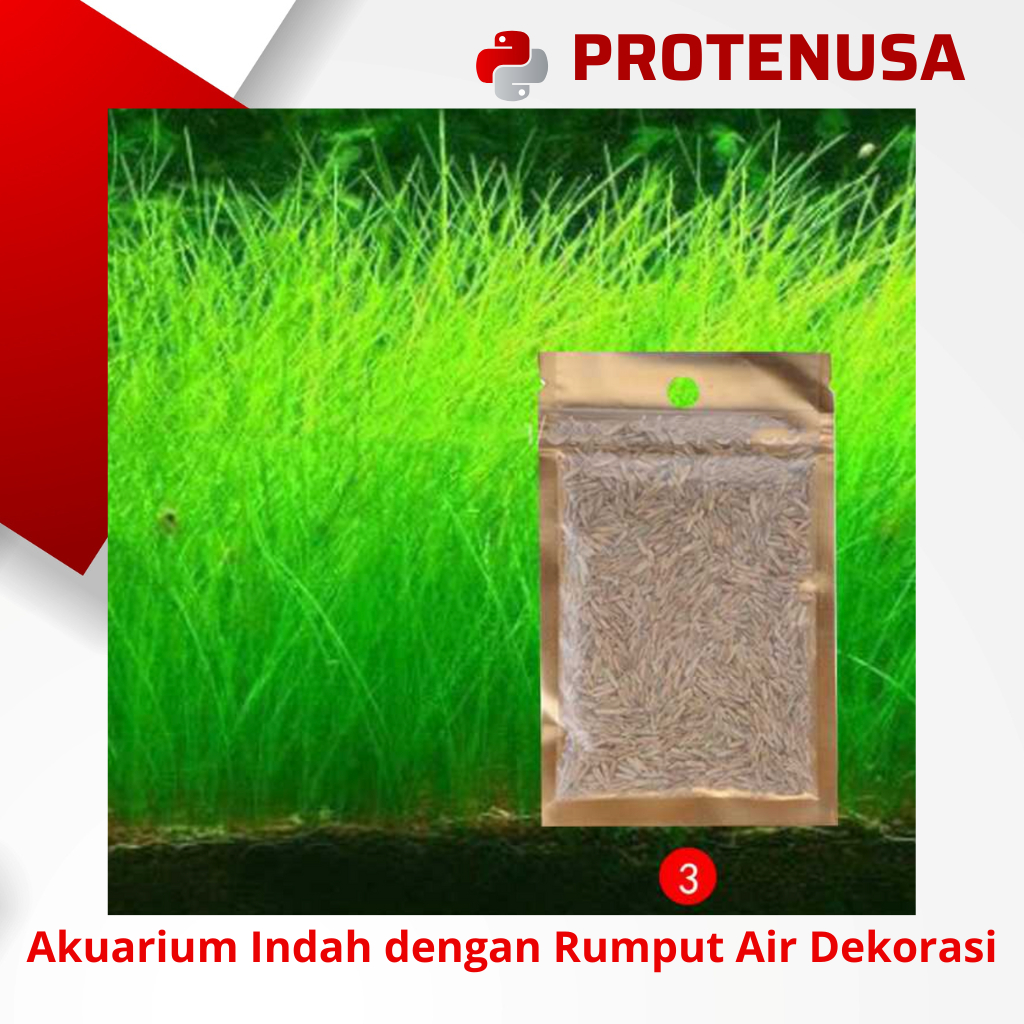 Jual 𝐑𝐮𝐦𝐩𝐮𝐭 𝐀𝐢𝐫 𝐃𝐞𝐤𝐨𝐫𝐚𝐬𝐢 𝐀𝐤𝐮𝐚𝐫𝐢𝐮𝐦 - 𝐇𝐢𝐚𝐬𝐢 𝐀𝐤𝐮𝐚𝐫𝐢𝐮𝐦 𝐀𝐧𝐝𝐚 𝐝𝐞𝐧𝐠𝐚𝐧 ...