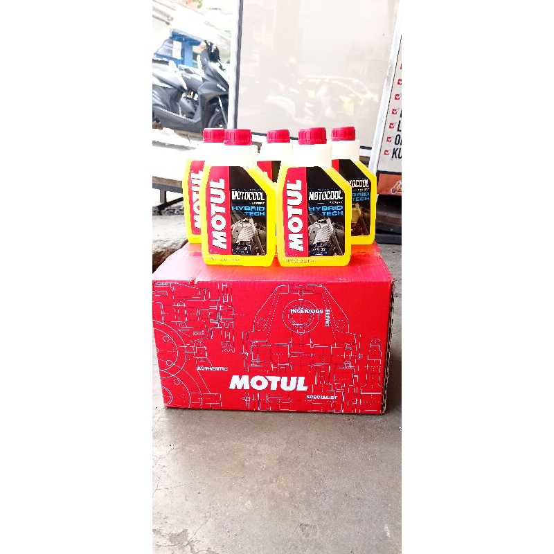 Jual Motocool expert (air radiator merk motul) | Shopee Indonesia