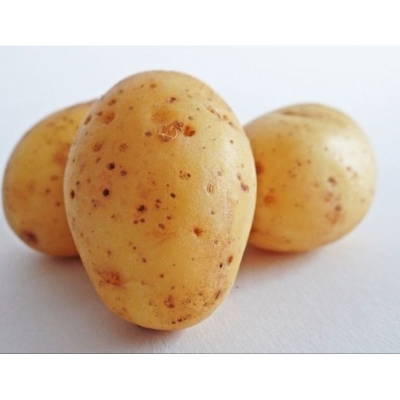 Jual kentang kuning jurang kuali batu | Shopee Indonesia