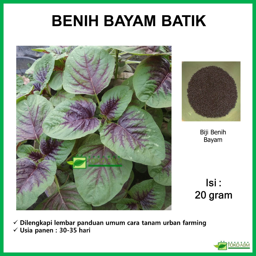 Jual Benih Bayam Batik Kemasan Repack 20 gram - Bibit Sayuran bayam ...