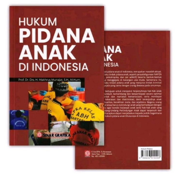 Jual BUKU HUKUM PIDANA ANAK DI INDONESIA ' SG ' | Shopee Indonesia
