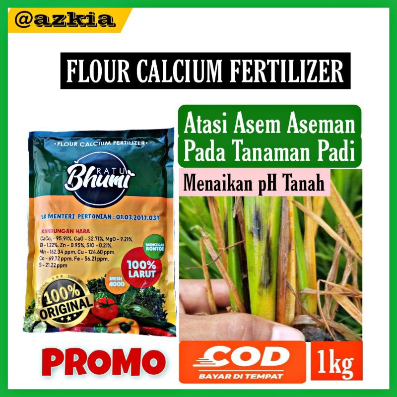 Jual Kalcium Ratu bhumi 1kg Obat Atasi Asem Aseman Pada Tanaman Padi ...