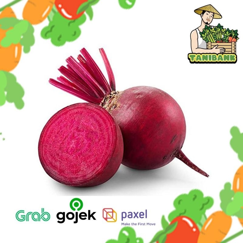 Jual Bit Merah / Buah Bit / Beet root | Shopee Indonesia