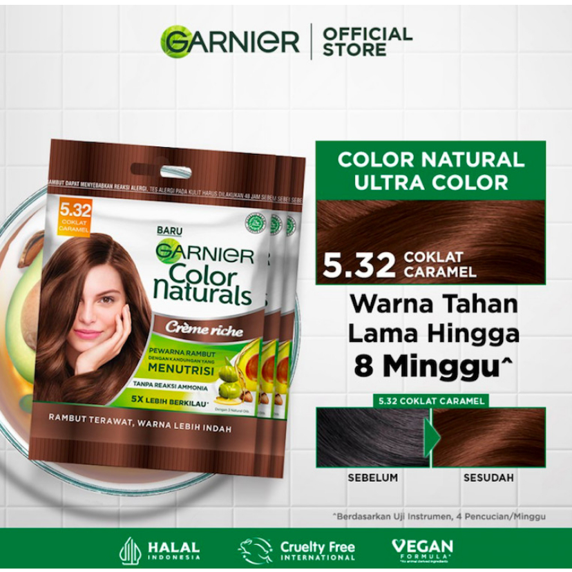 Jual Pewarna rambut Garnier Color Naturals 1 Sachet warna coklat ...