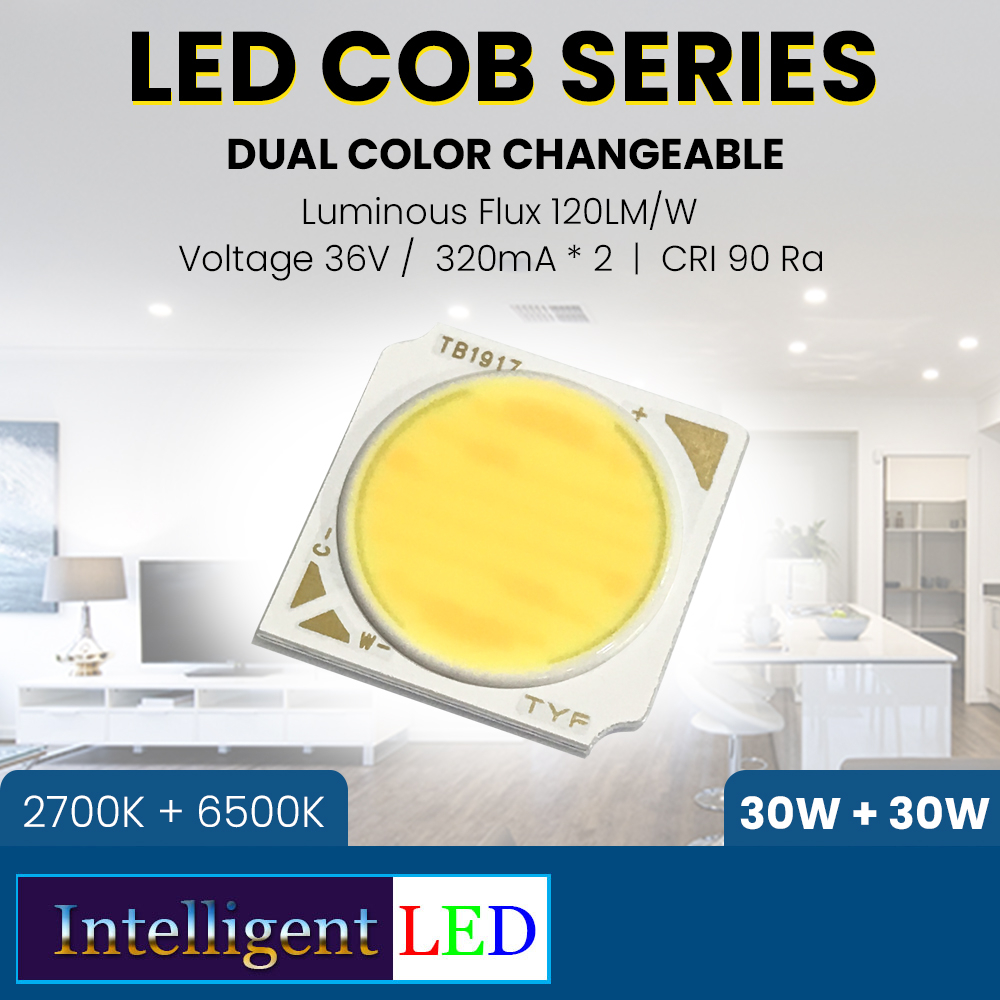 Jual LED COB 30W+30W 2700K+6500K Dual Color Changeable 36V 800mA*2 19x19mm | Shopee Indonesia