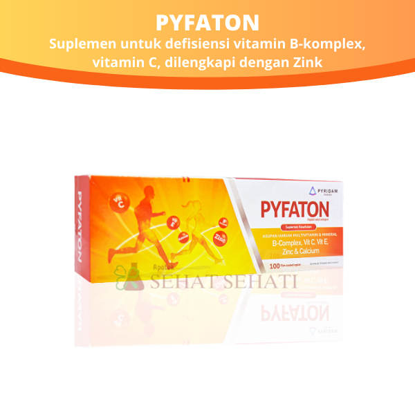 Jual Pyfaton Multivitamin B Kompleks Dan Zinc Isi 100 Kaplet | Shopee ...