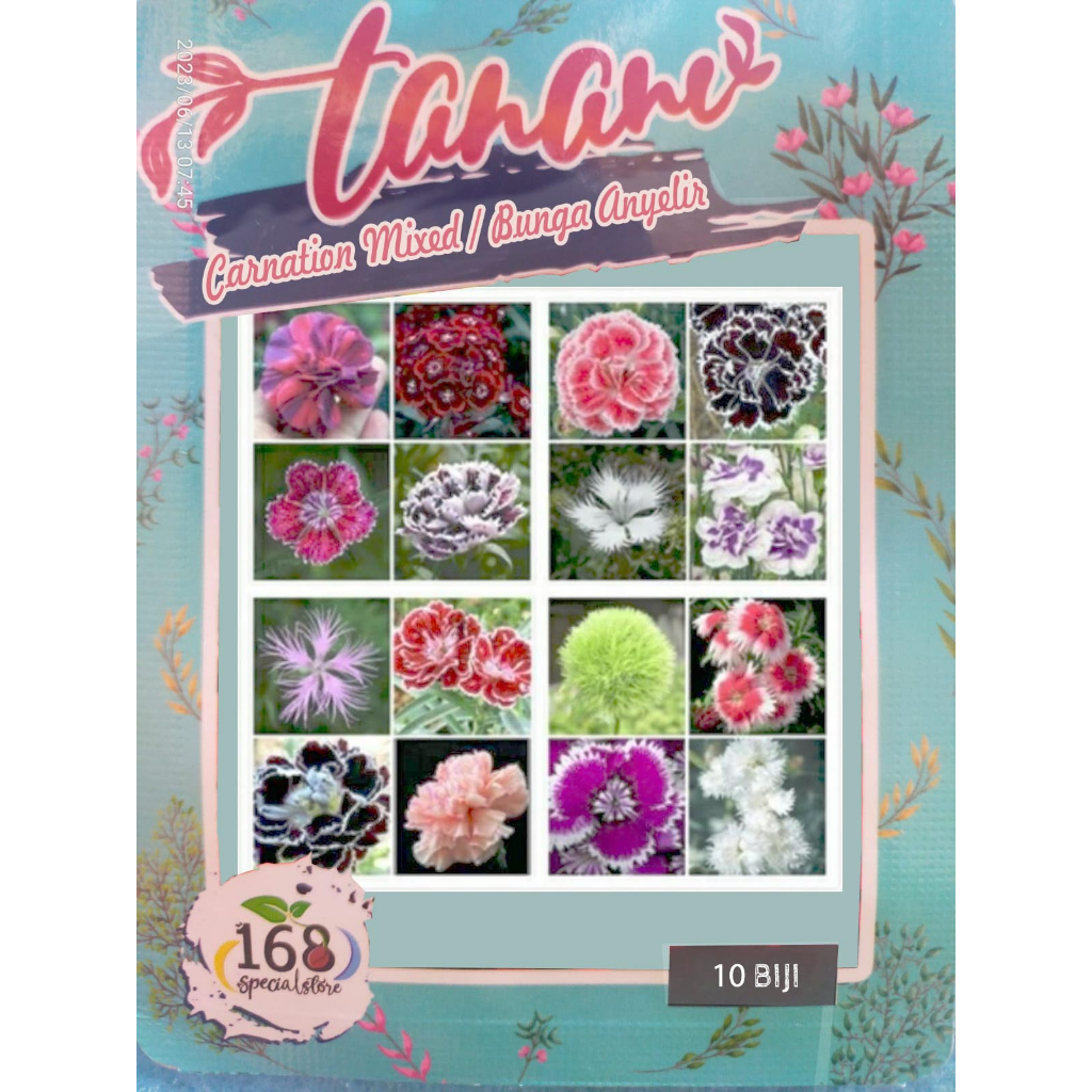 Jual Benih Bunga Carnation Mixed / Bunga Anyelir / Teluki / Dianthus ...