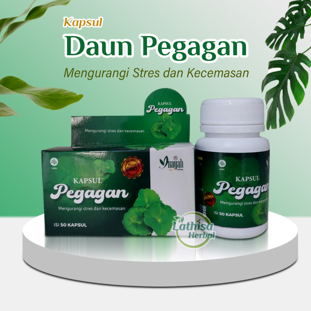 Jual Kapsul Daun Pegagan Herbal Alami 50 Kapsul Original | Shopee Indonesia