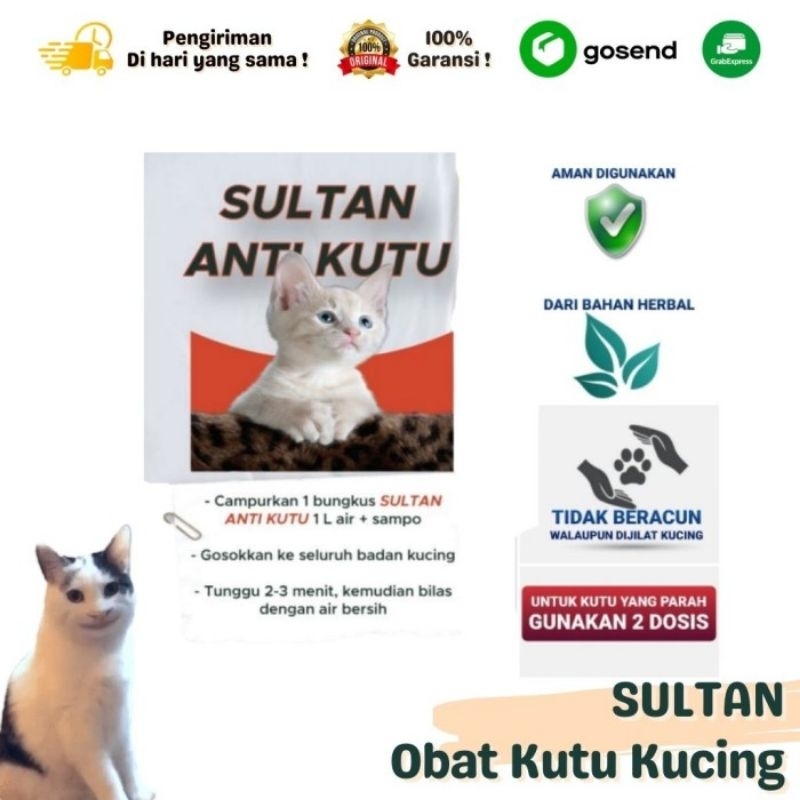 Jual OBAT KUTU KUCING (SULTAN ANTI KUTU) | Shopee Indonesia Jual OBAT KUTU KUCING (SULTAN ANTI KUTU) | Shopee Indonesia