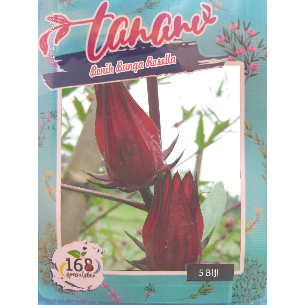 Jual Biji Bunga Rosella (Isi 5 biji) | Shopee Indonesia