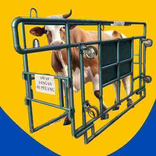 Jual Alat Perebah sapi | Shopee Indonesia