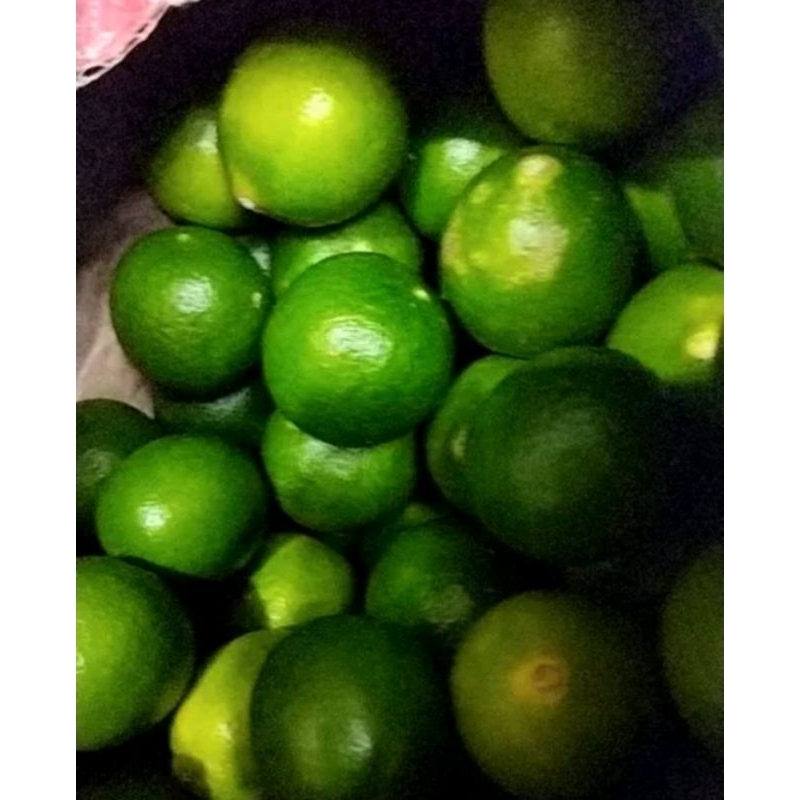 Jual jeruk nipis 1 kg | Shopee Indonesia