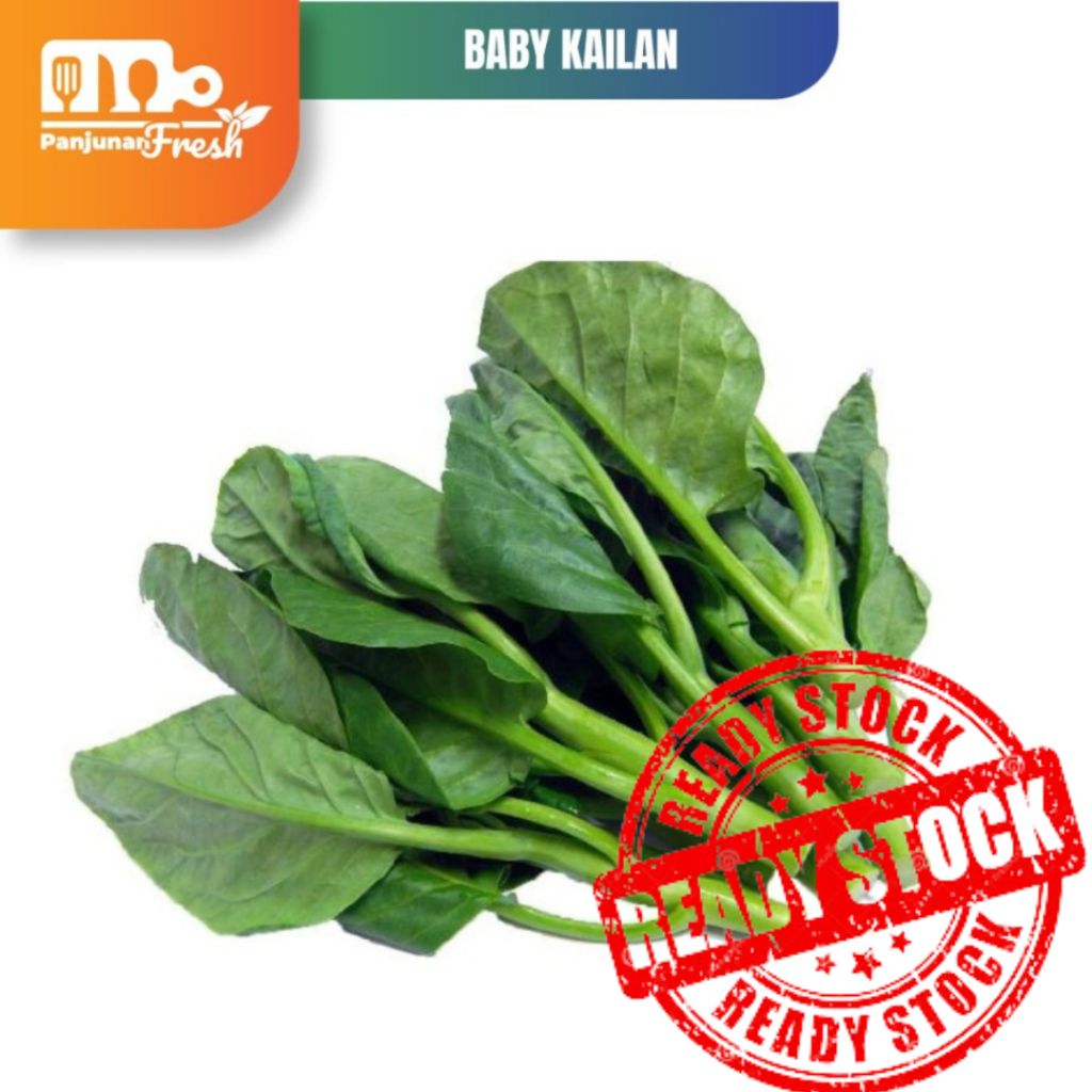 Jual Baby kailan sayuran segar fresh bandung 1 KG | Shopee Indonesia