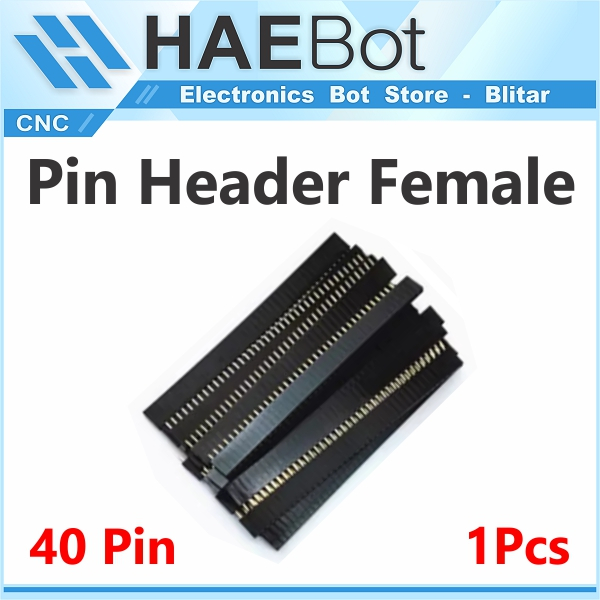 Jual [HAEBOT] Pin Header Female 40 Pin Konektor Jumper Pitch 2.54 mm ...