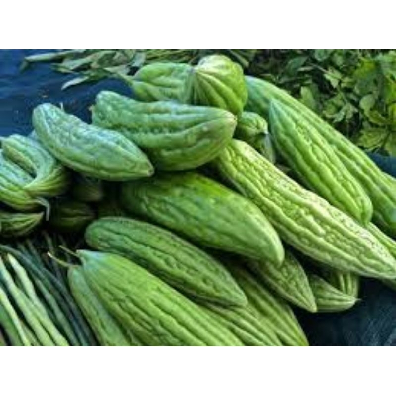 Jual Sayur Pare 500 gr | Shopee Indonesia