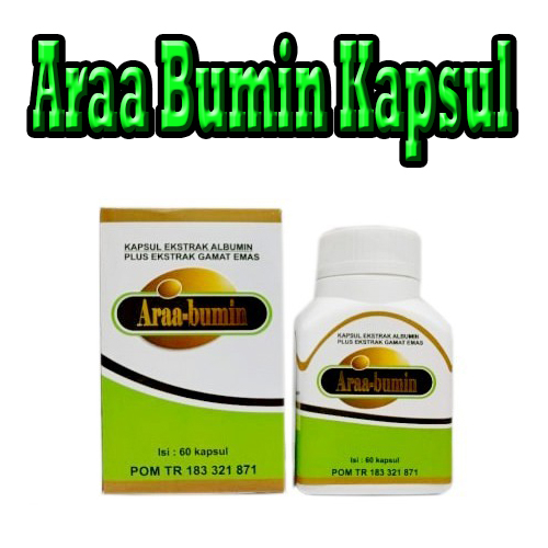 Jual Kapsul Araa Bumin Ekstrak Albumin Plus Ekstrak Gamat Emas isi 60 ...