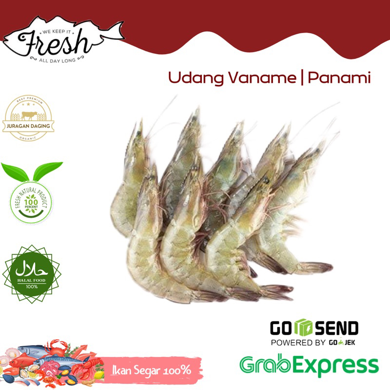 Jual UDANG VANAME/UDANG PANAMI BESAR FRESH 500g-1Kg | Shopee Indonesia