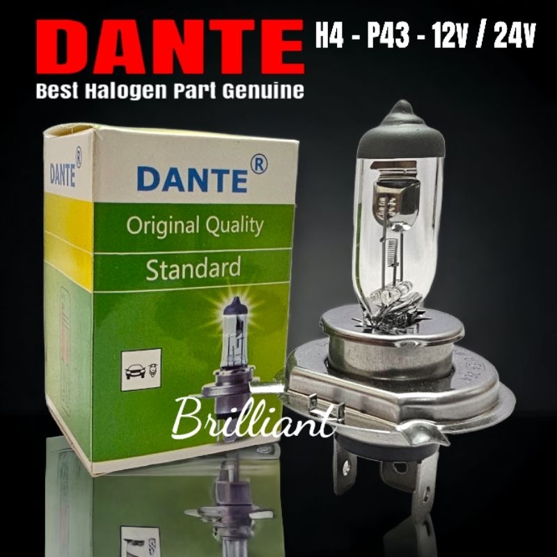 Jual Lampu Bohlam Halogen Original DANTE - H4 / H11 / H16 / HIR2 9012 ...