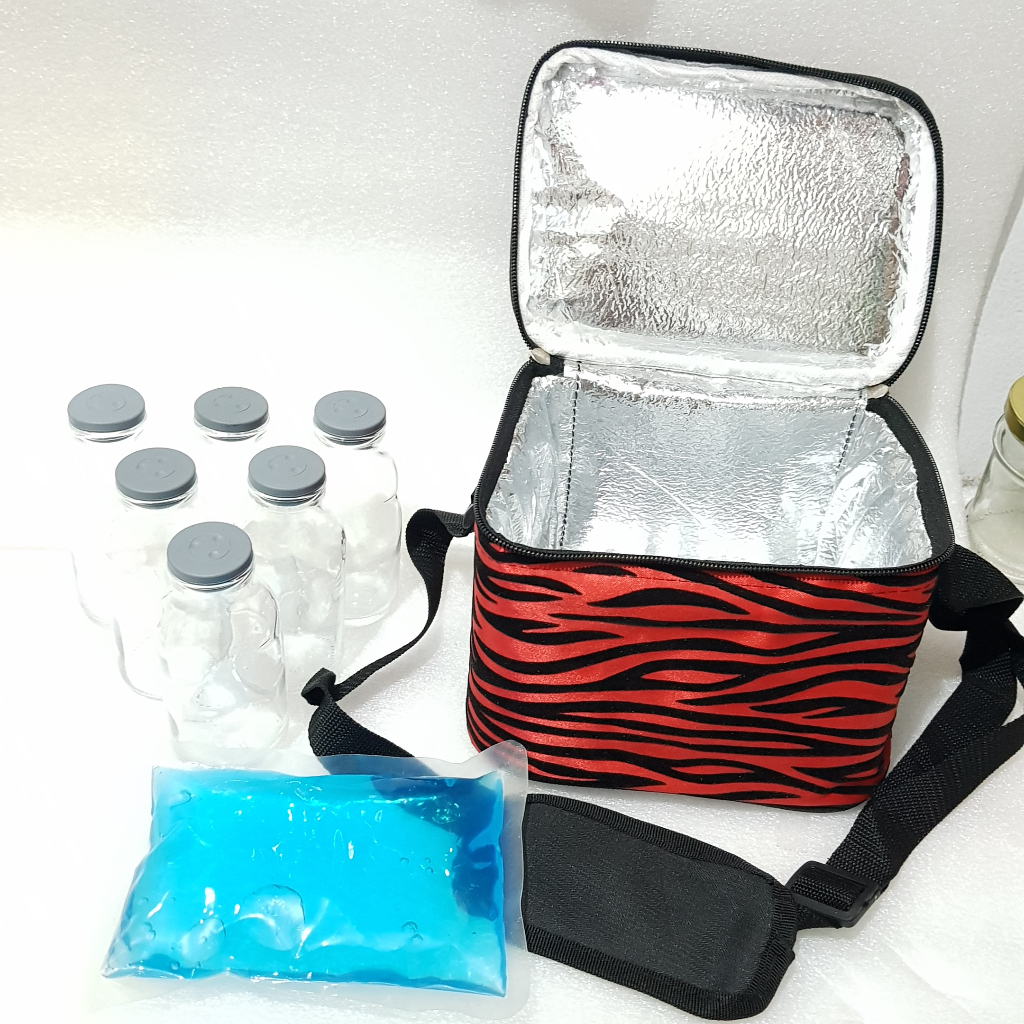 Jual TAS PENYIMPANAN ASI / COOLER BAG ASI ASIP /COOLER BAG / HARGA CUCI ...