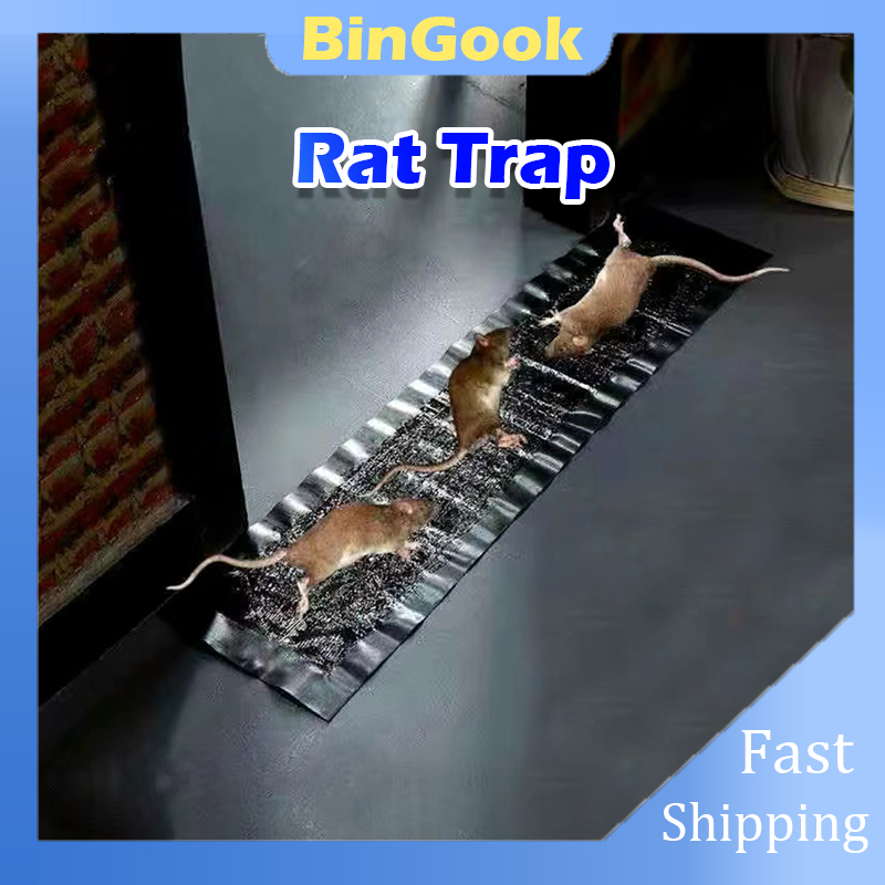 Jual Lem Tikus Ampuh 1.2M Mouse Papan Besar Lengket Tikus Jebakan Tikus ...