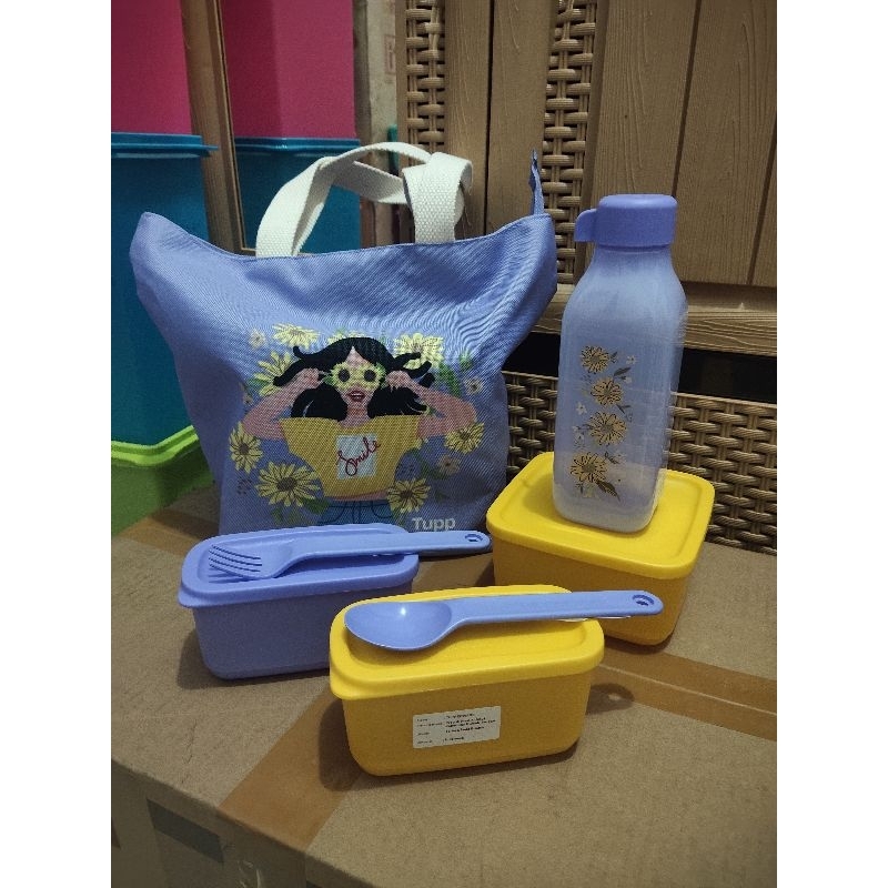 Jual Cosmo Lady Set Tupperware | Shopee Indonesia