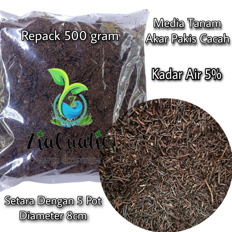 Jual Media Tanam Akar Pakis Cacah - Repack 500gram | Shopee Indonesia