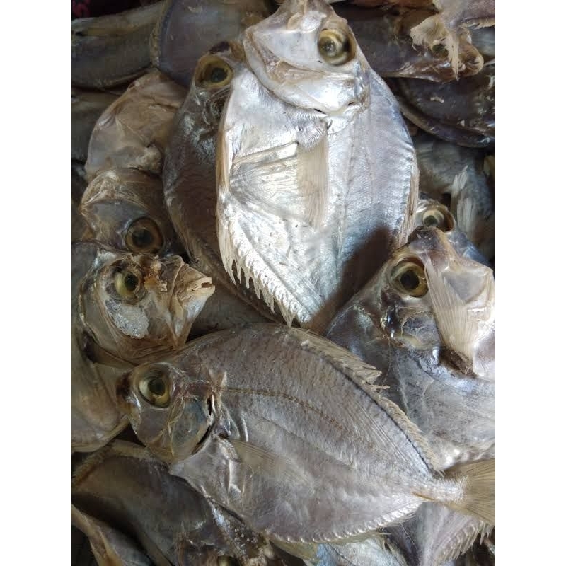 Jual Ikan Asin Dodok (250 gr) | Shopee Indonesia