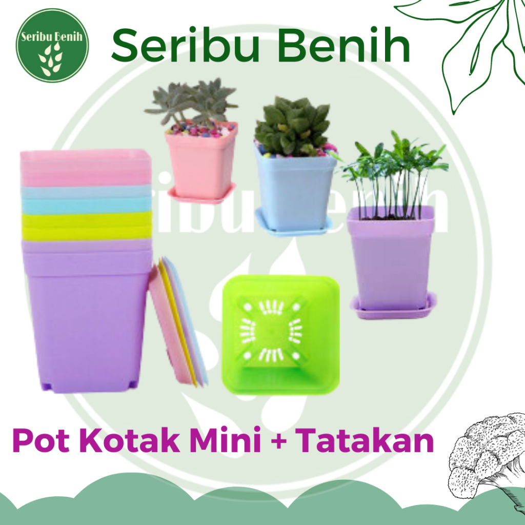 Jual Pot Tanaman Kotak 7cm - Mini Square Pot Lucu Gemoy Unik dengan ...