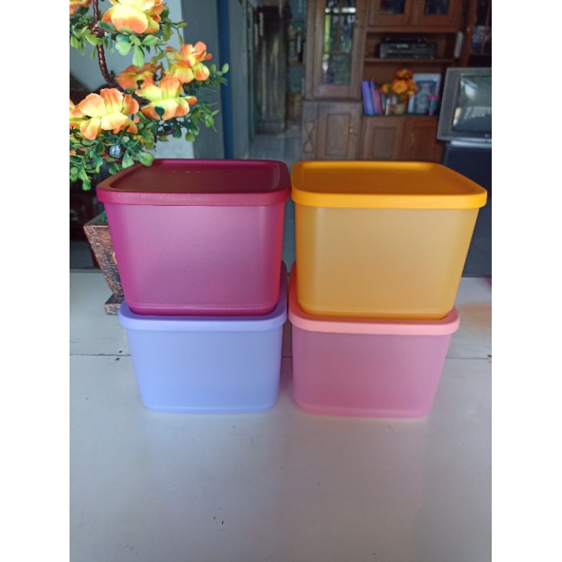 Jual Medium summer fresh toples tupperware | Shopee Indonesia
