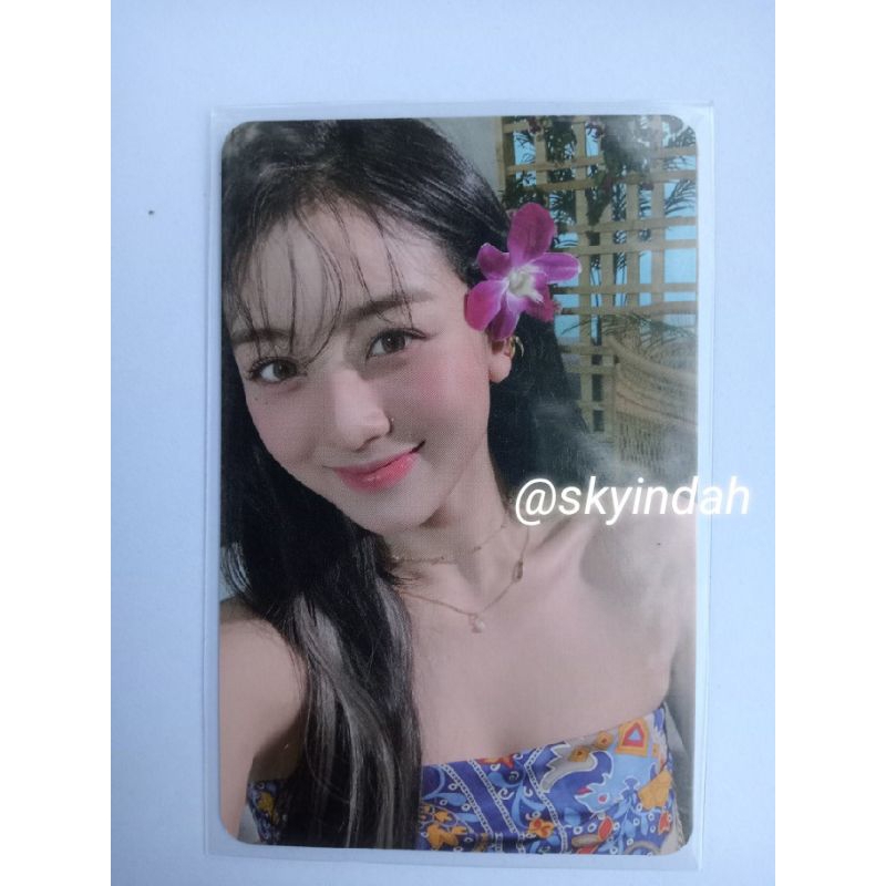 Jual jihyo Twice taste of love jihyo bunga jihyo kembang jihyo bali ...