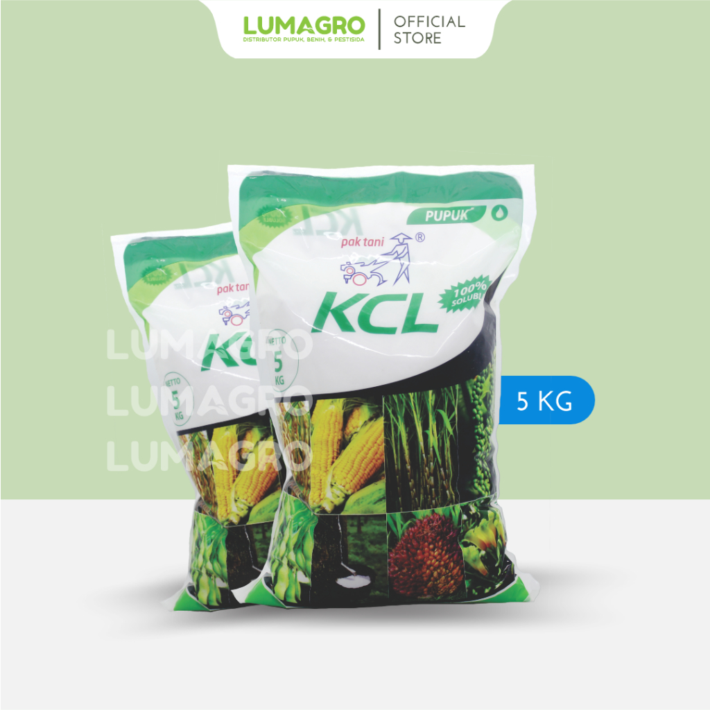 Jual Pupuk KCL Pak Tani 5kg Kristal Kalium Mempercepat Pembentukan ...
