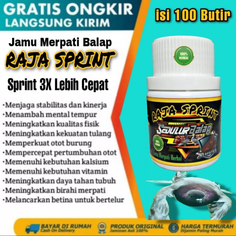 Jual JAMU MERPATI RAJA SPRINT isi 100 Butir doping merpati balap jamu ...