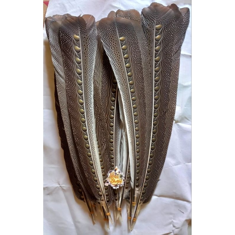 Jual bulu hias original etnik dayak kalimantan | Shopee Indonesia