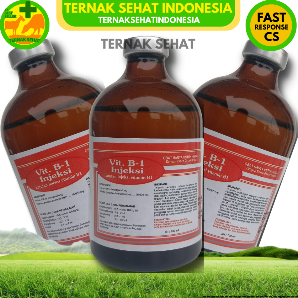 Jual VITAMIN B1 HEWAN 100ml (orange) - Vit b1 hewan - B1 injeksi - B1 ...