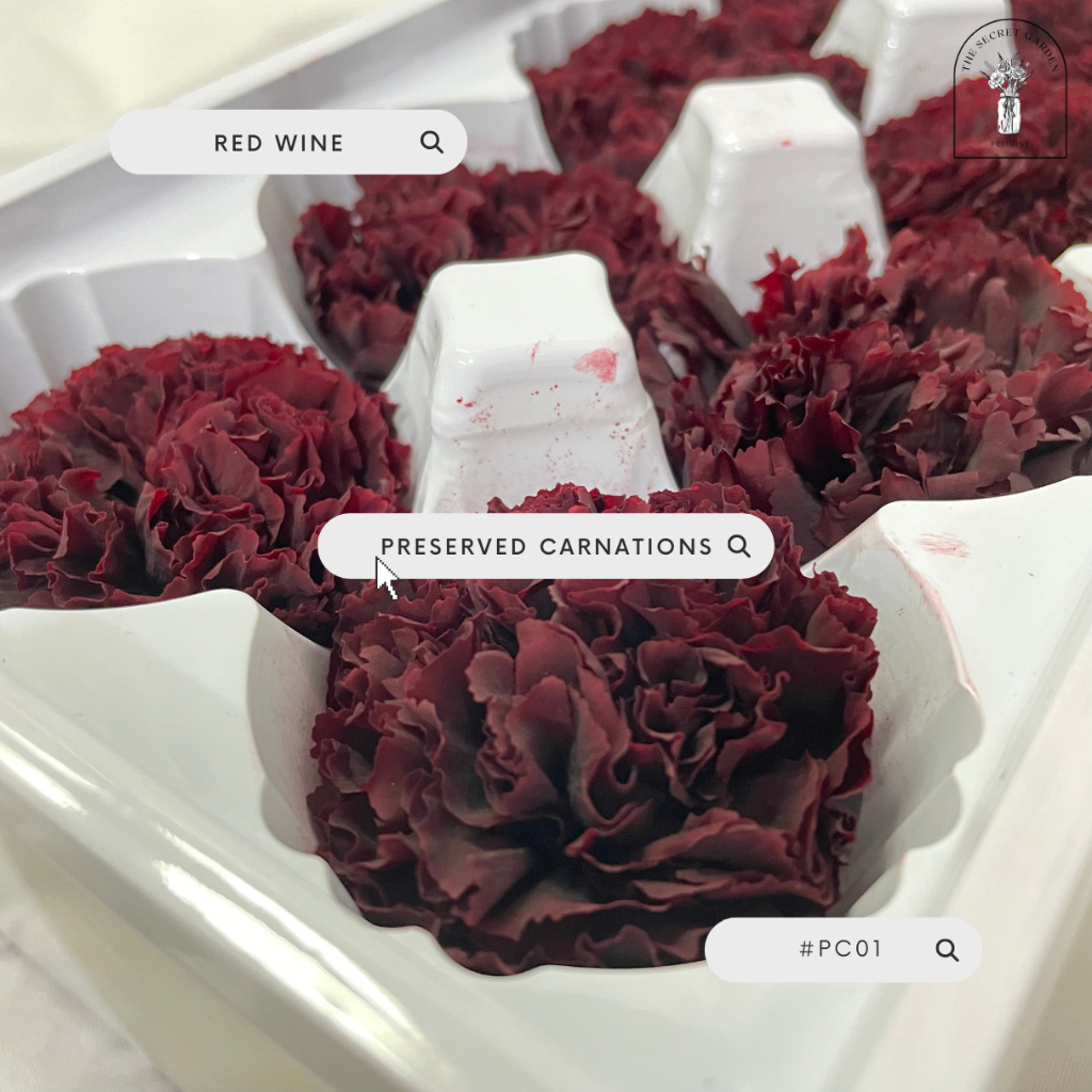 Jual PRESERVED CARNATIONS [8PCS/BOX] BUNGA ASLI KERING | DRIED FLOWER ...