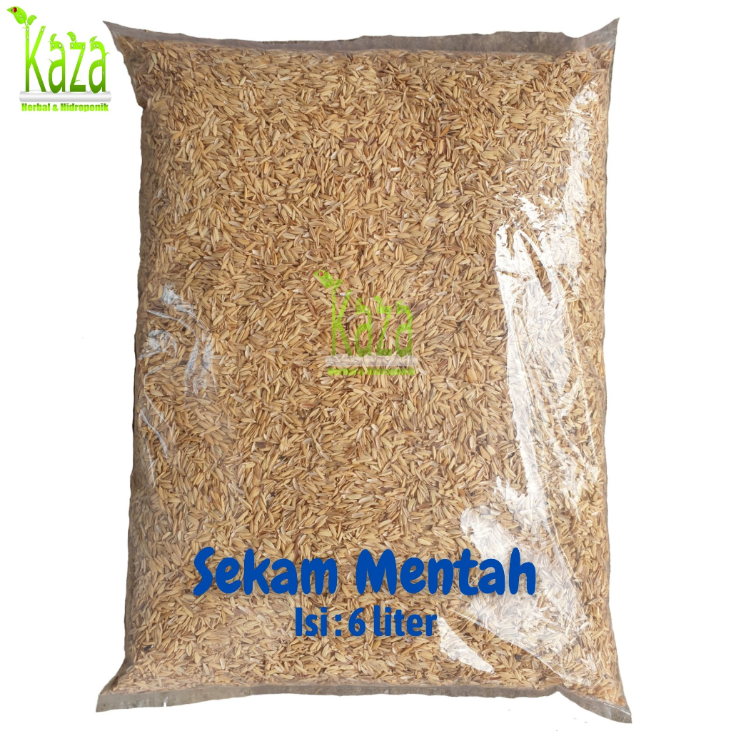 Jual Sekam Padi Terlengkap & Harga Terbaru Mei 2026 | Shopee Indonesia