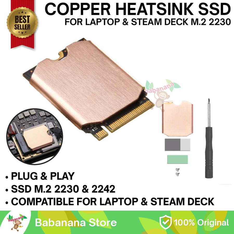 Jual HEATSINK SSD M.2 NVME M.2 SATA 2230 COOLING STEAM DECK LAPTOP ...
