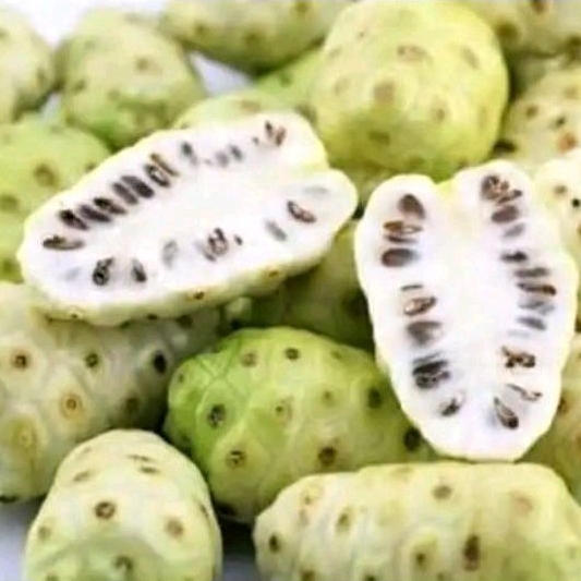 Jual Buah PACE 1kg | Shopee Indonesia